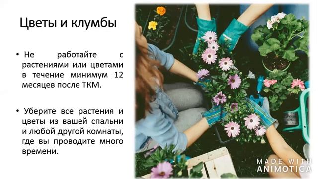 Дачные вопросы после трансплантации гемопоэтических стволовых клеток