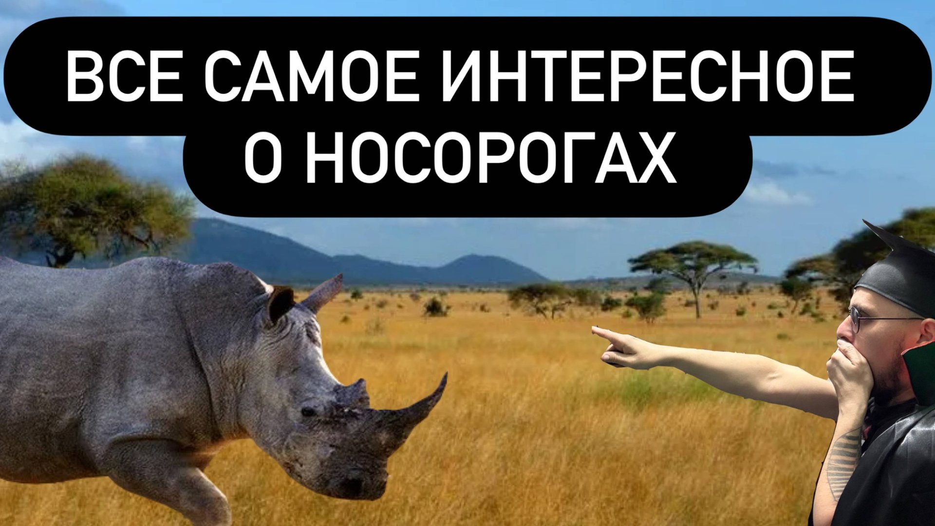Все самое интересное о носорогах