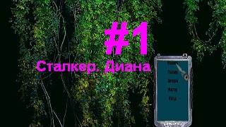 Сталкер. Диана. Прохождение мода#1 (Начало\Болота\Ищем переход в местный бар\Ищем гранатомёт)