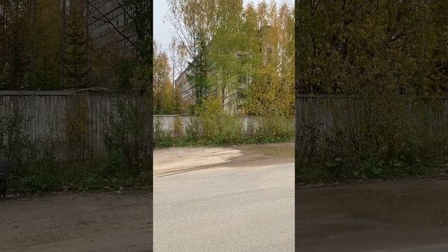 Недострой (Завод Новатор) ЗАТО Мирный Архангельская область.