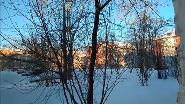 ФУТАЖ Зима синица поет