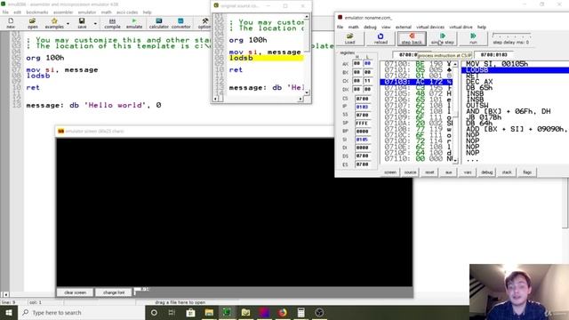 2.13. Reading bytes with the lodsb instruction