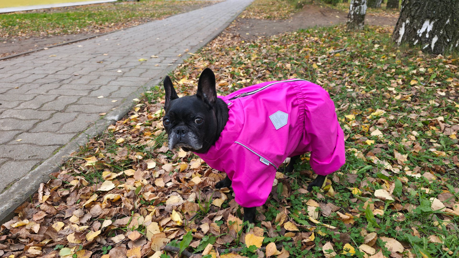 Что то настроения нет 😄