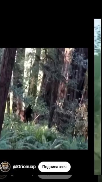 ОБОРОТНИ НА ФОТО