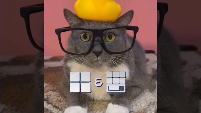 Кирилл Пушканов & SUNO - Гимн Windows & Puskanov95 (ПРЕМЬЕРА ТРЕКА 2025)