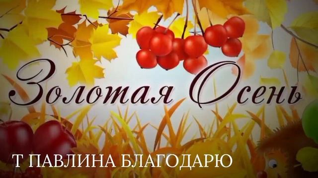 ПРИРОДА.Грибы маслята.Осенняя поляна.