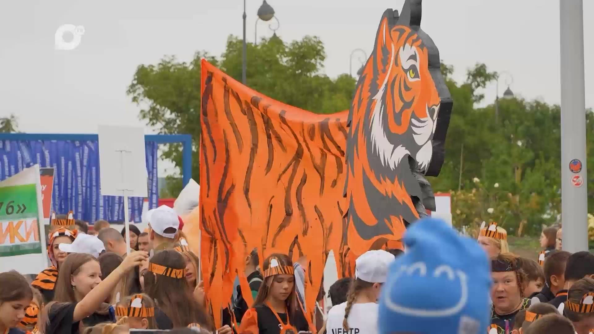 Инструкция Владивосток / День тигра / 01.10.25