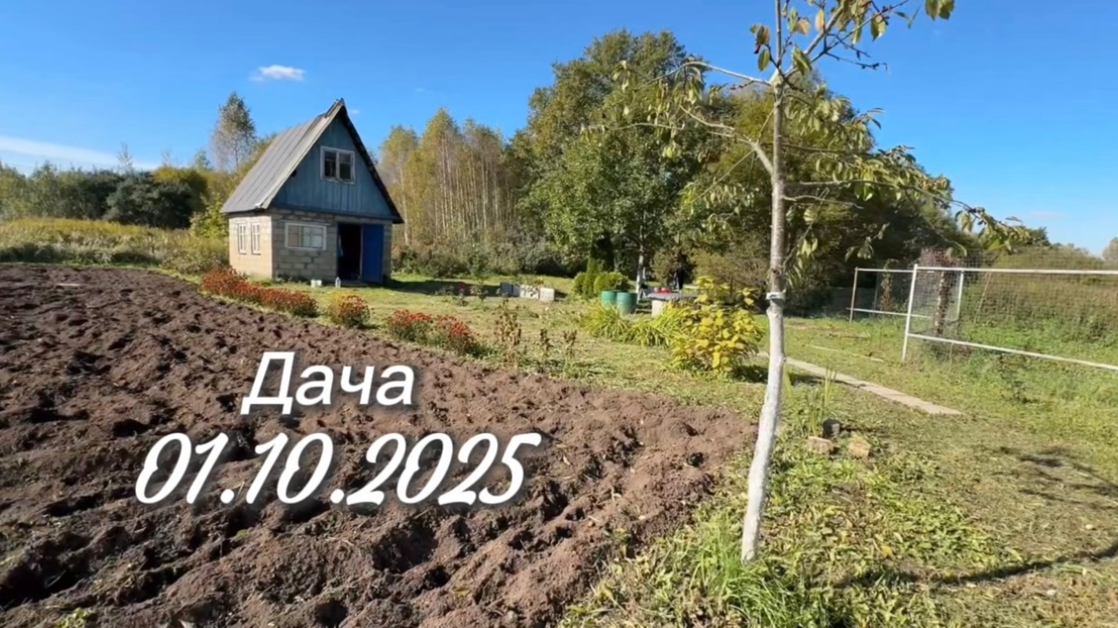 ДАЧА 01.10.2025