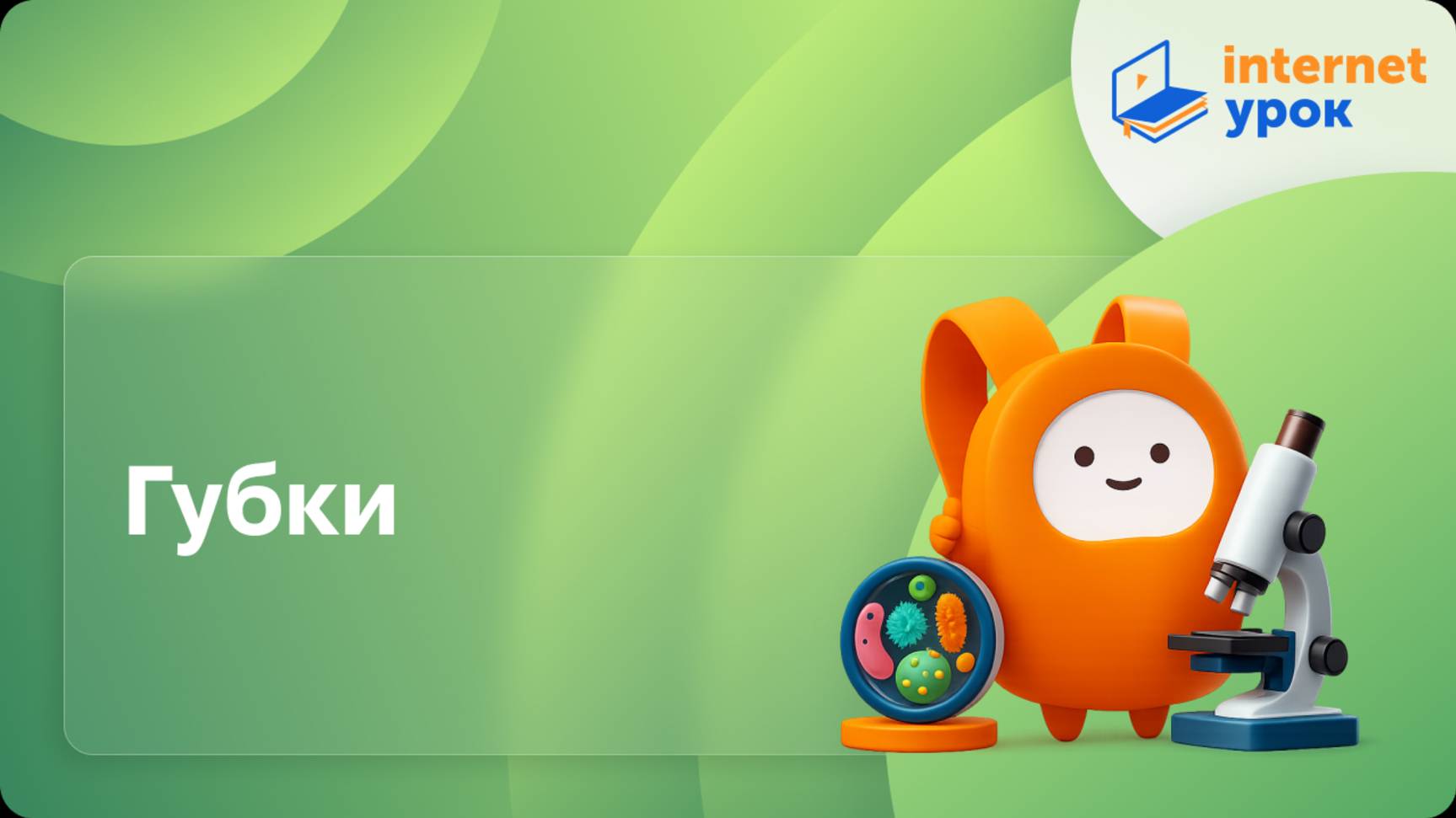 Биология 7 класс. Губки