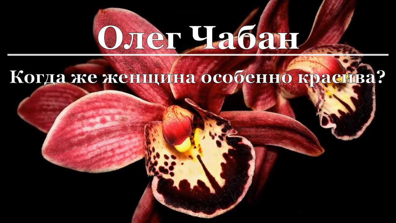 Олег Чабан - Когда же женщина особенно красива?