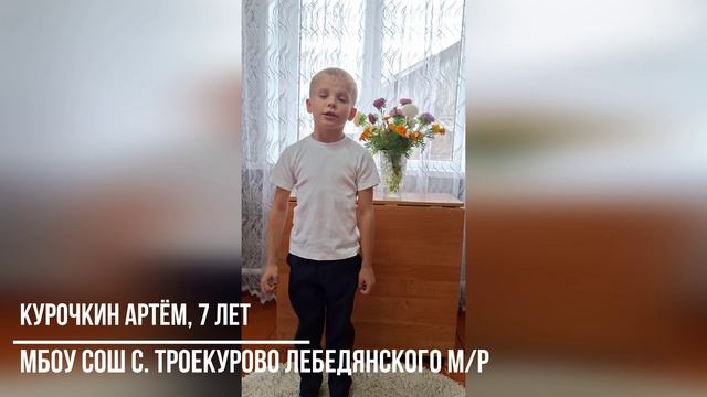 Курочкин Артём, 7 лет, с. Троекурово Лебедянского м/о Липецкой обл."Полевые цветы"