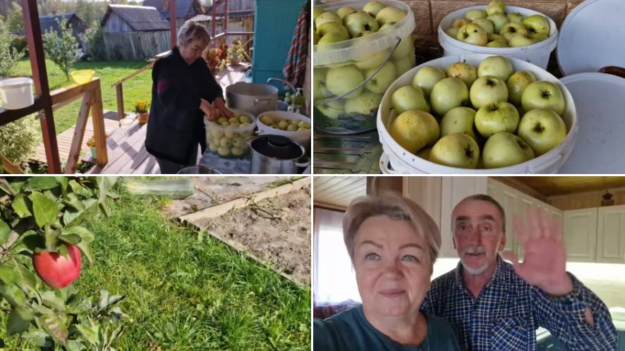 ЗАМОЧИЛА ЯБЛОКИ. РЕЦЕПТ ПРОВЕРЕННЫЙ, РЕКОМЕНДУЮ.