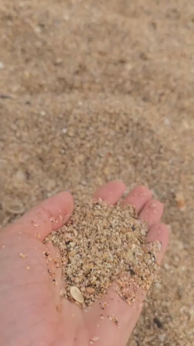 🏖️🐌🐚🦪ПЕСЧАНЫЙ ПЛЯЖ ИЗ РАКУШЕЧНИКА В ФЕОДОСИИ #КРЫМ2025