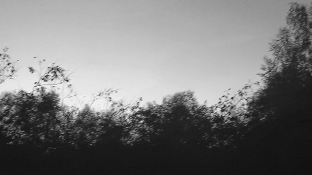 "Осеннее настроение" - Мариинский Посад