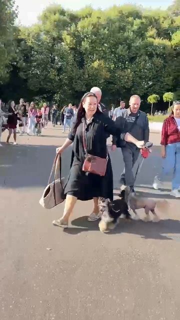 Грэйс и Честер на прогулке в Парке Горького. Красивые, да?!