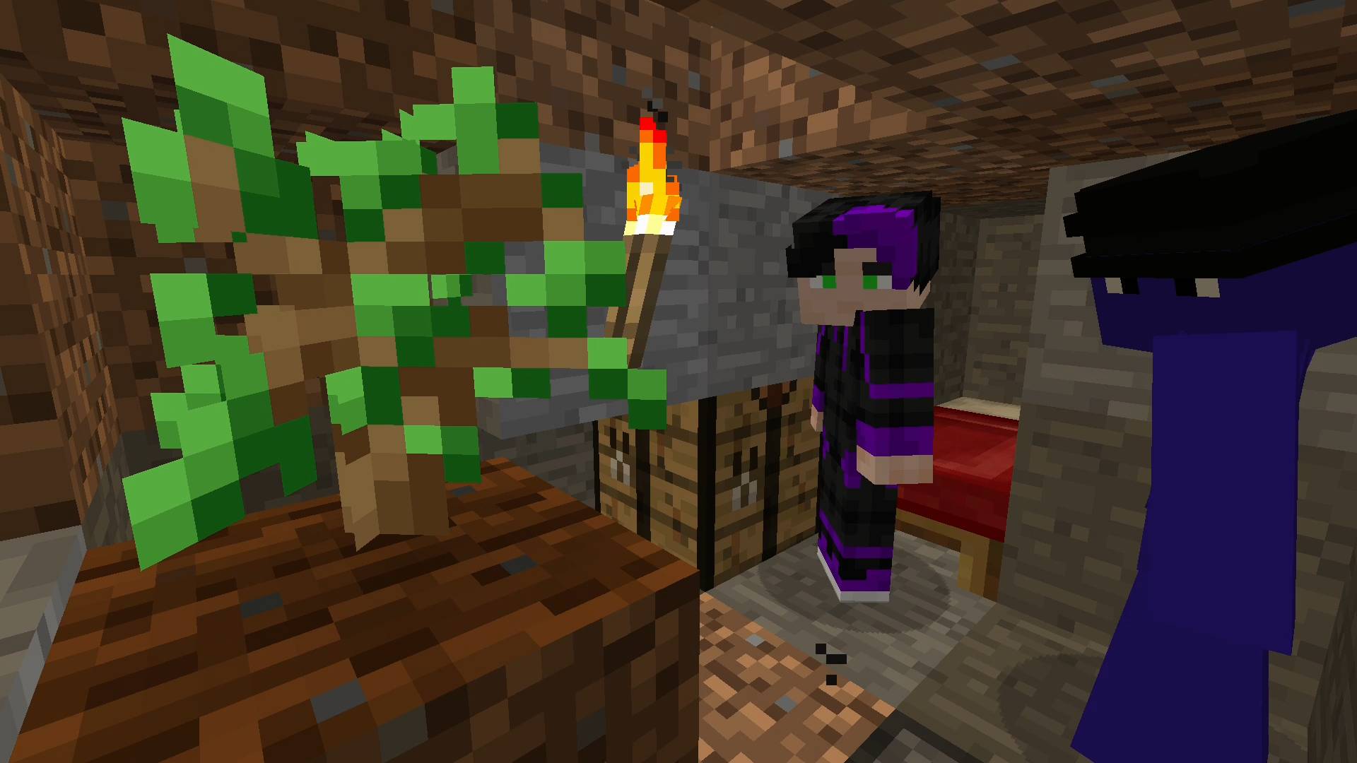 Приземлились на острове | 1