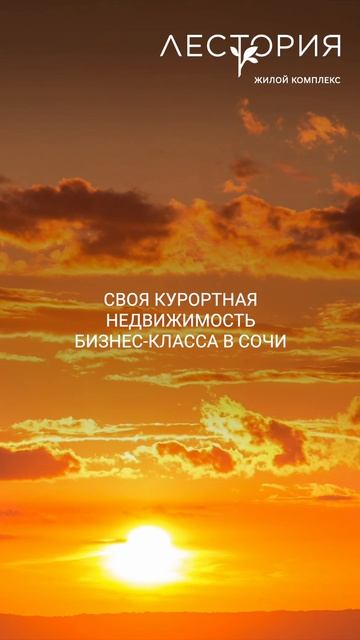 Жить у моря или зарабатывать?.mp4