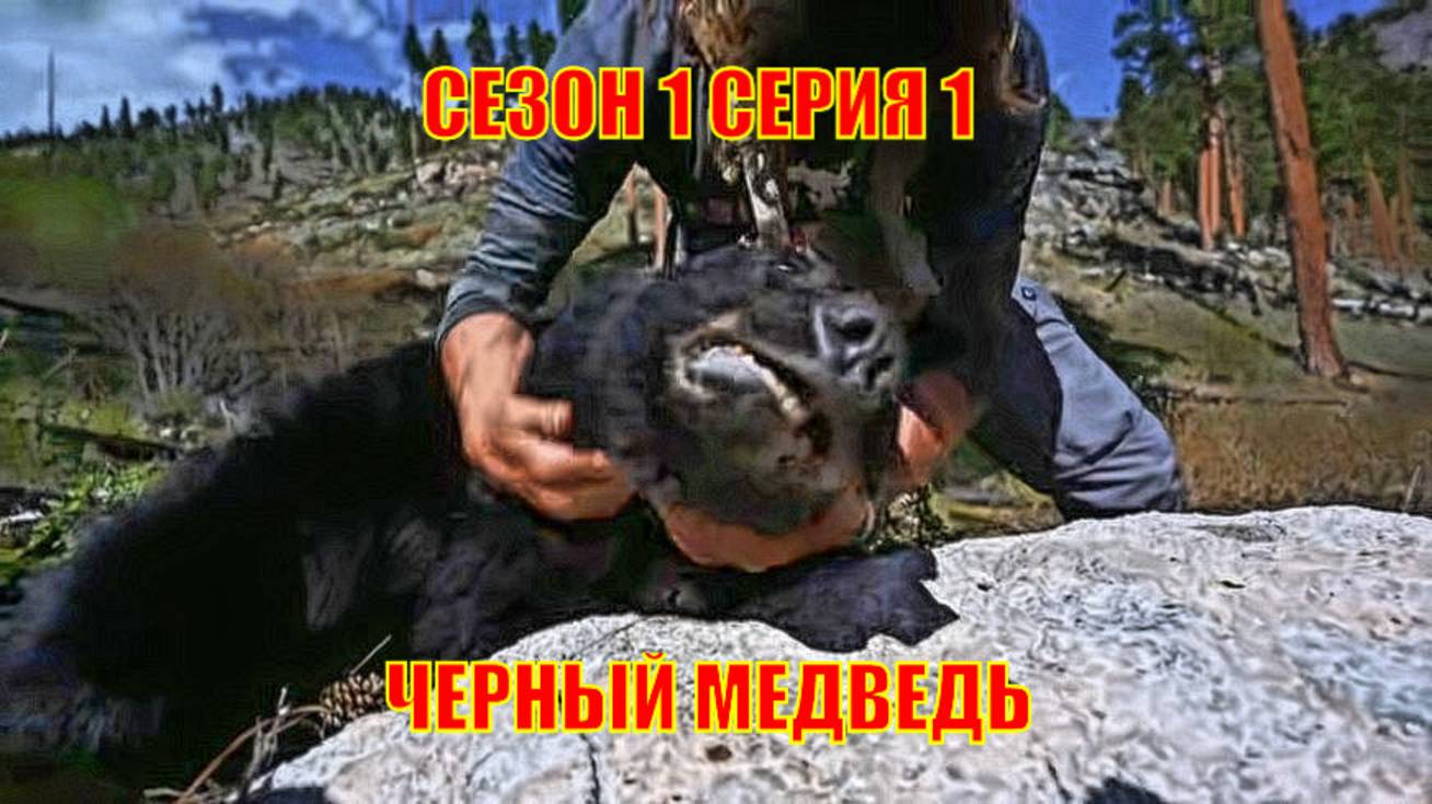 ОХОТА НА ЧЕРНОГО МЕДВЕДЯ СЕЗОН 1 СЕРИЯ 1
