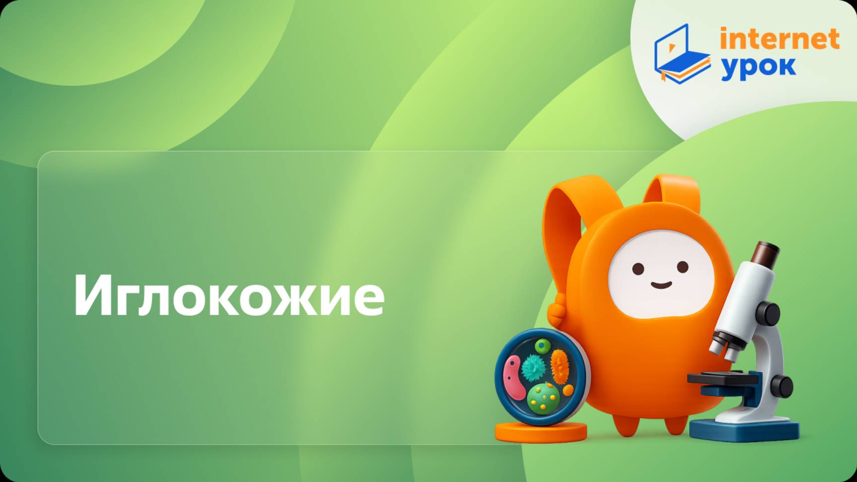 Биология 7 класс. Иглокожие