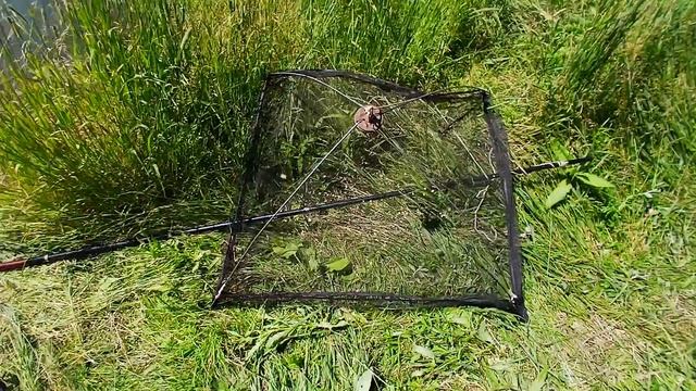 Отдыхаем на даче в России.Рыбалка в России, паримся в бане, купаемся в бассейне. Отдых, Развлечения