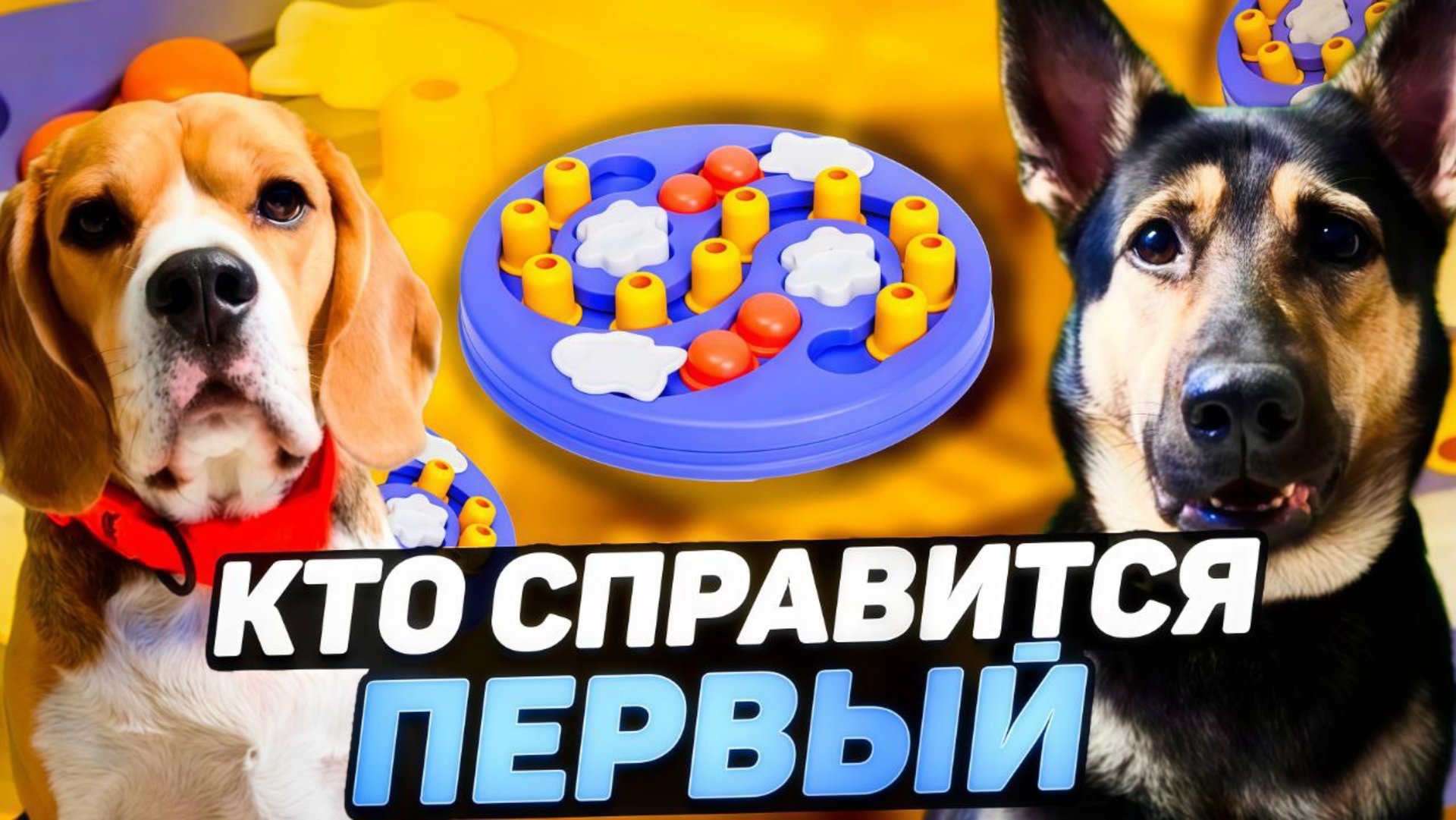 Битва сильнейших| Интерактивная игрушка для собак, кто справится быстрее?