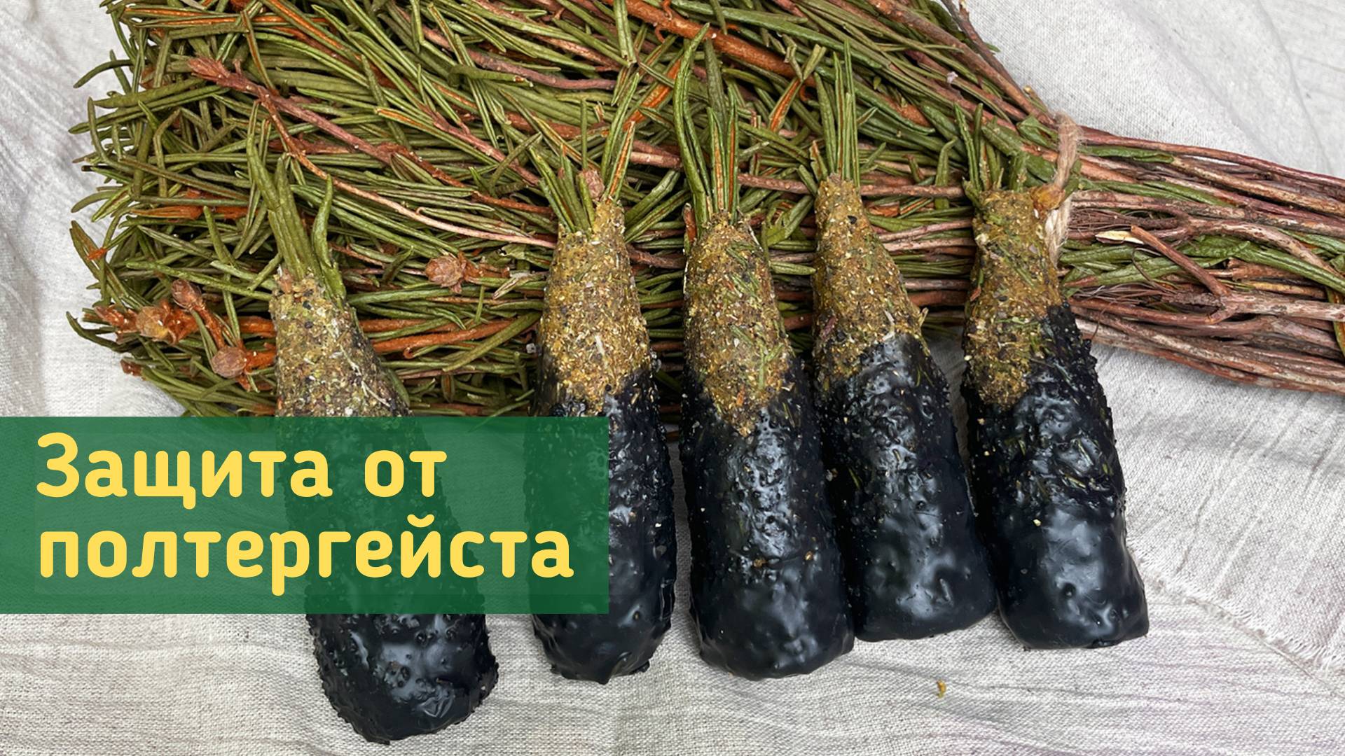 БАГУЛЬНИК БОЛОТНЫЙ от Астральных паразитов Полтергейста и Подселенцев из мира мёртвых.