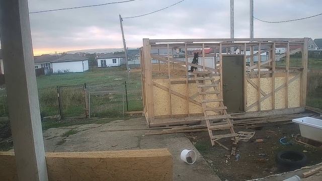 У Азы любимое место- вверх по лестнице - там лучше видно все вокруг