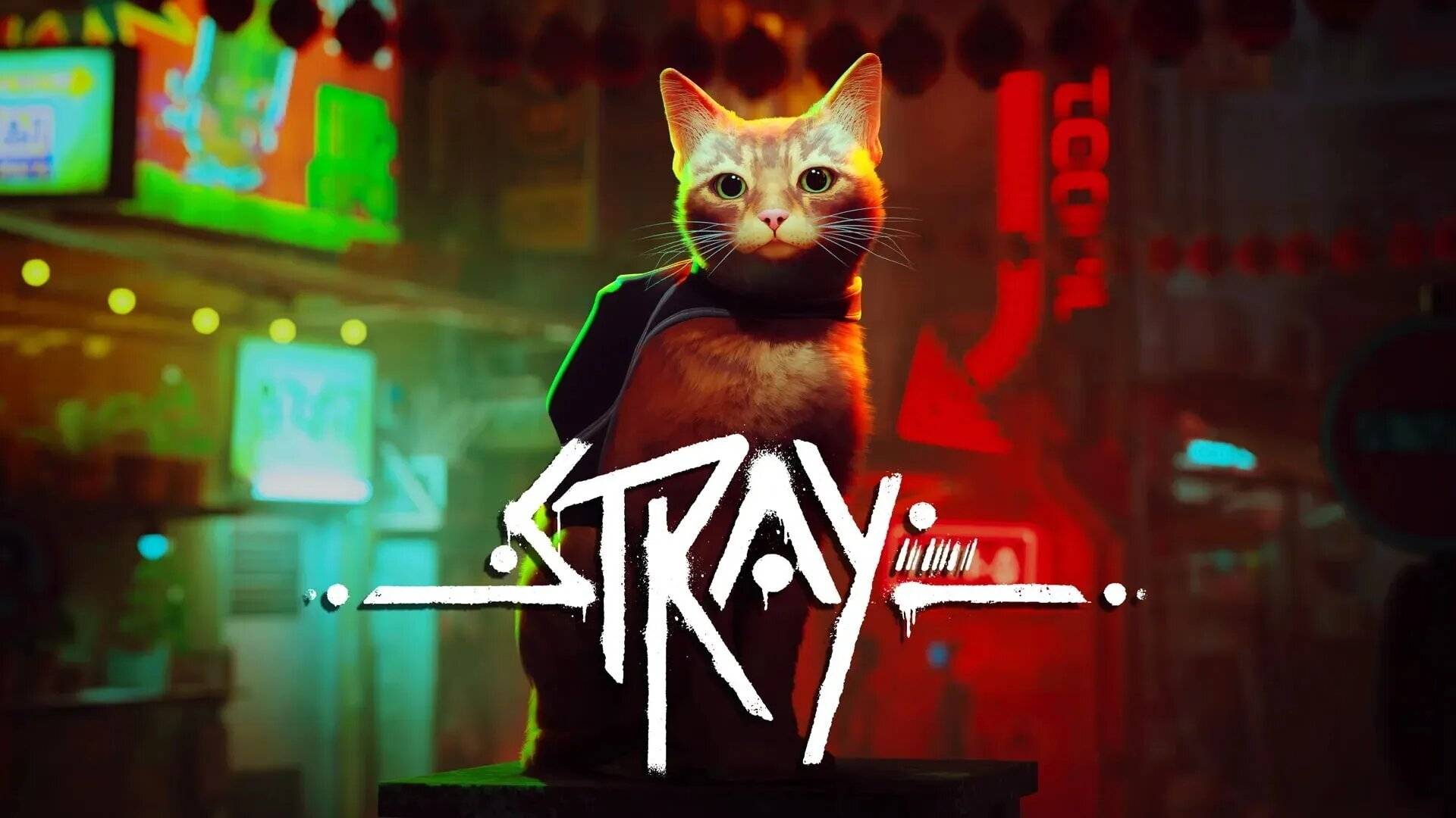 КИБЕРПАНК КОТА ШРЁДИНГЕРА / Stray \