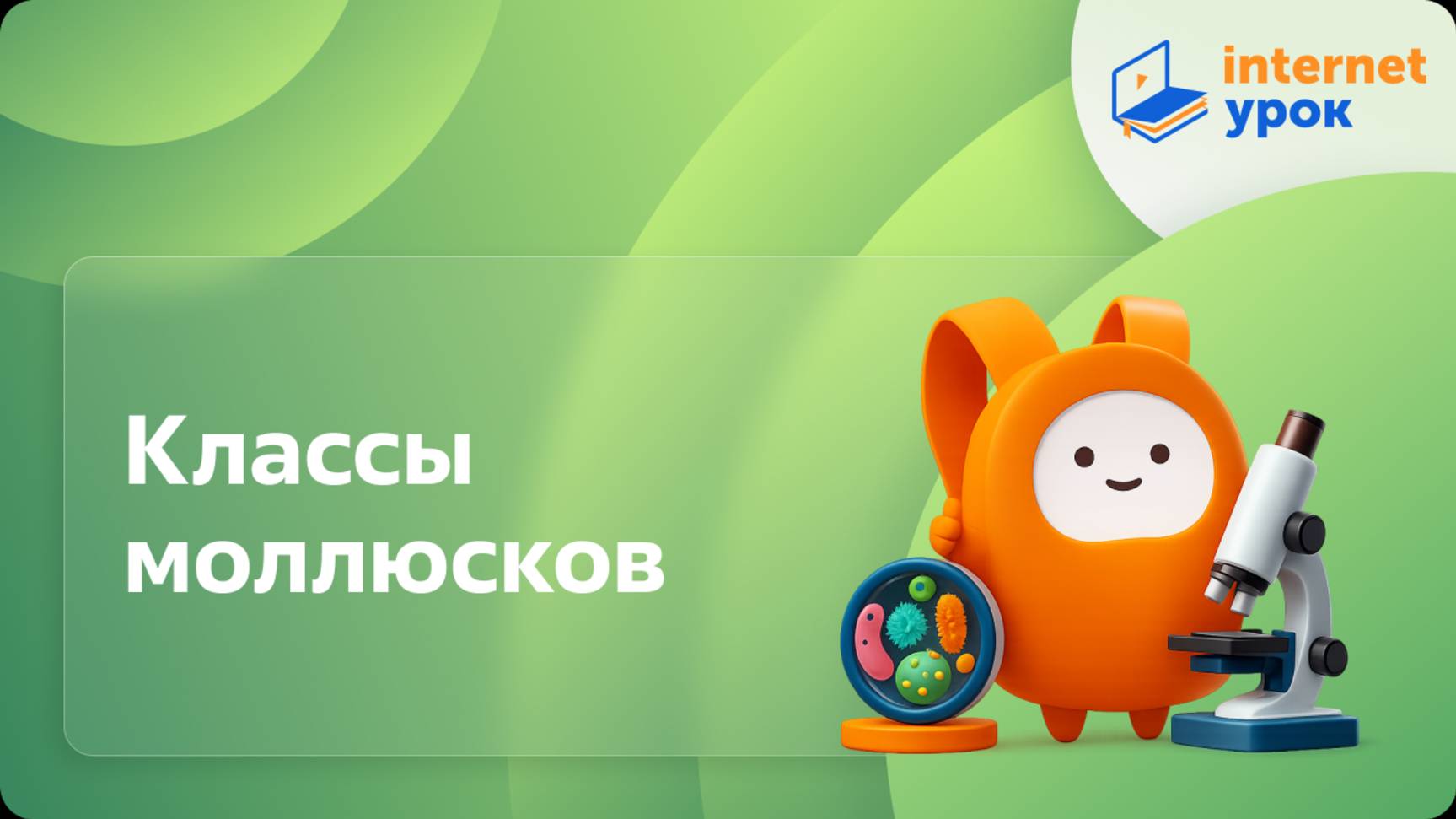 Биология 7 класс. Классы моллюсков