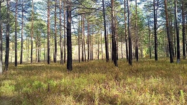 Выезд в осеннюю сказку.