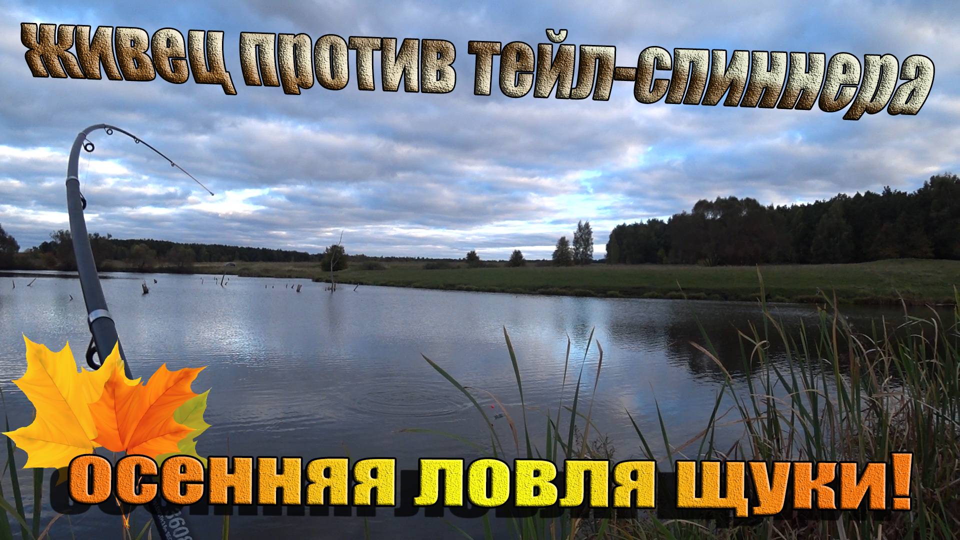 Ловля щуки осенью на поплавочную удочку - на живца, и на спиннинг -тейл-спиннер! Что лучше работает?