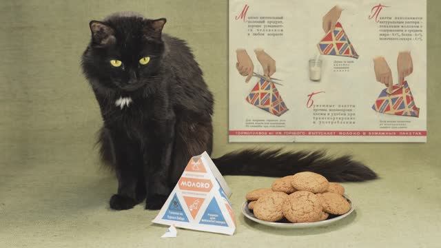 Треугольный пакет молока для фотосессий и видеосъемок.