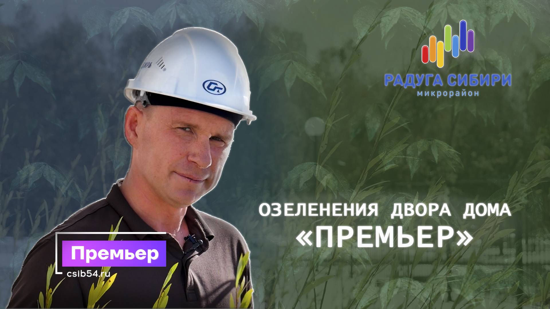 Озеленения во дворе дома "Премьер"