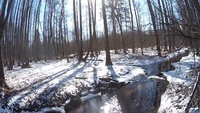 Весенний ручей