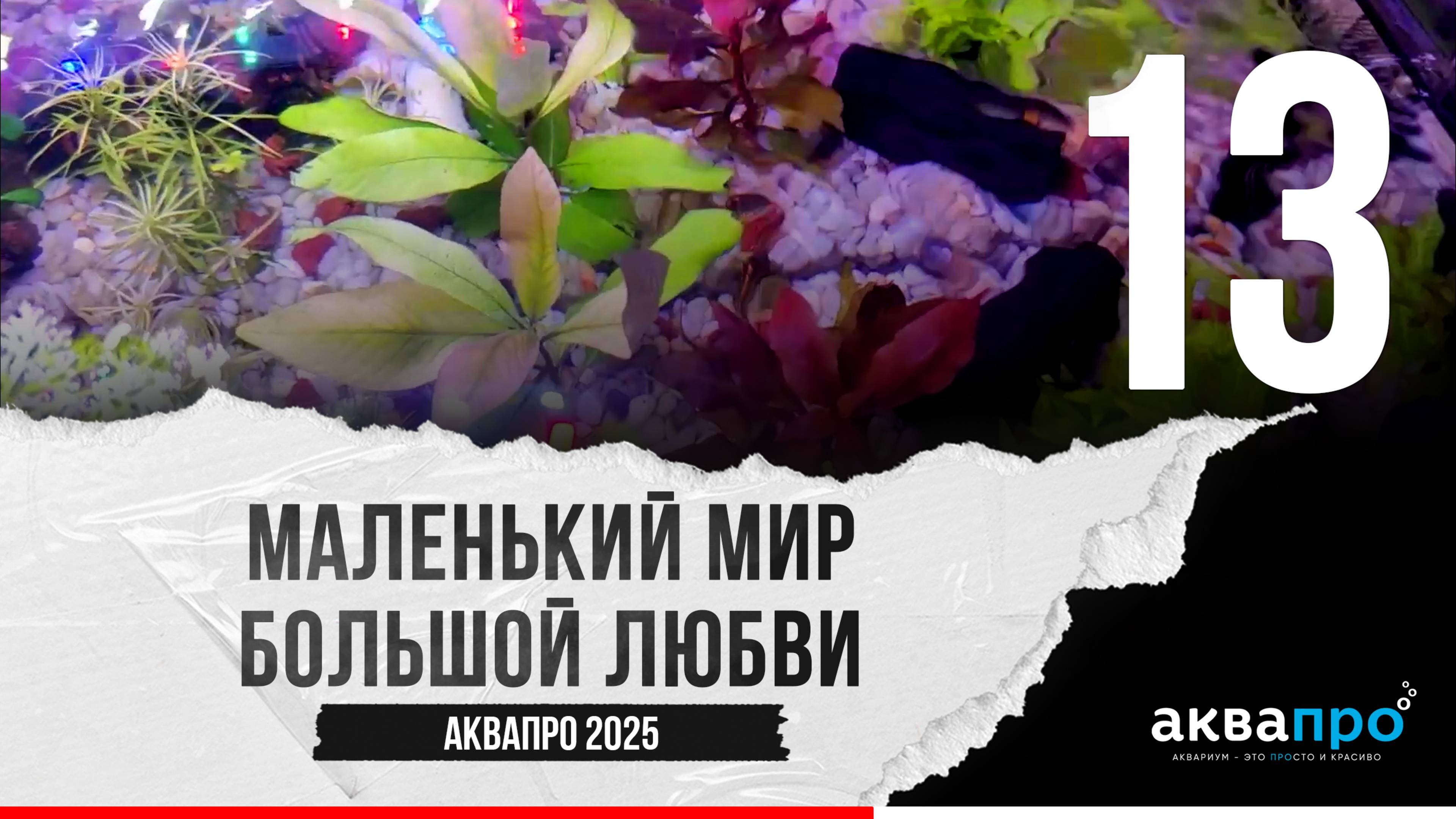 13. Маленький мир большой любви. #АкваПро