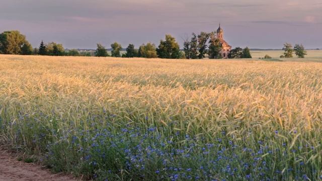 "ПЕСНЯ НА ВСЕ ВРЕМЕНА".. (Фото Анатолия ГУЛИНА (Вятка-Киров) - Владимир ЕРЯШЕВ -" ГАРМОНЬ МОРДОВИЯ)