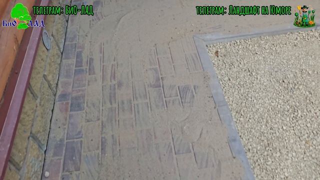 Изменения все ярче и интенсивнее👌 (подробности в выпуске)