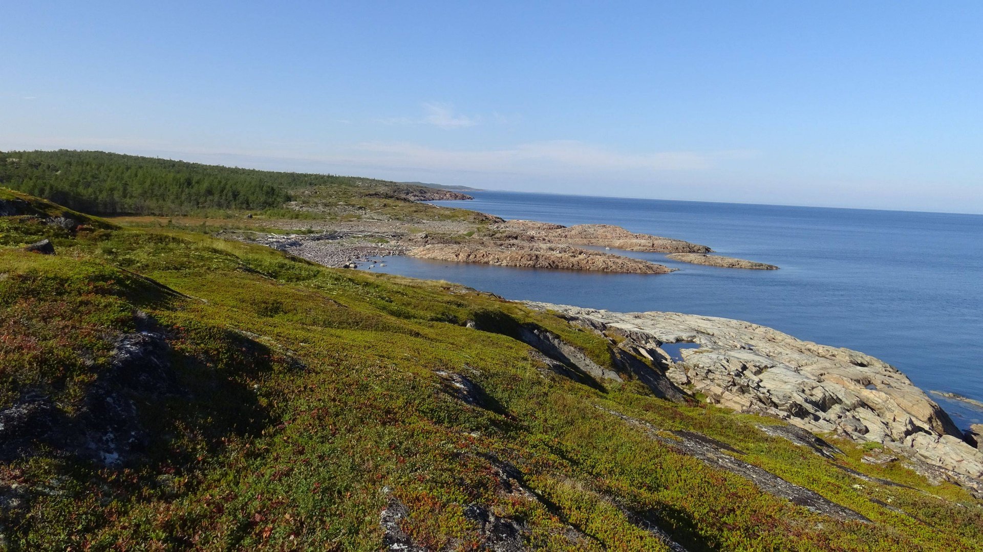 Белое море 2025 год.  часть 1