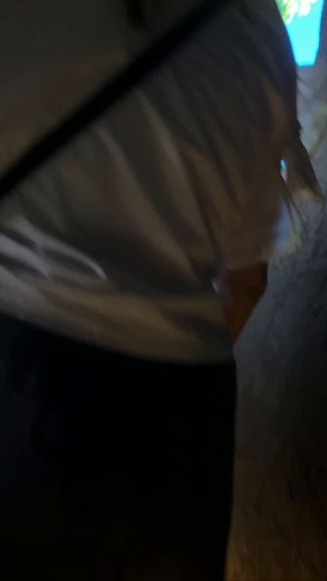 Внутри кроличьей норы рыбки и зайчик #парккраснодар #паркгалицкого