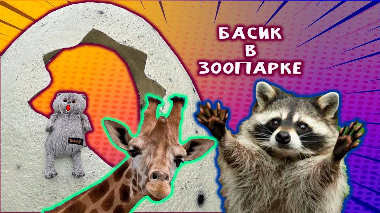 🐯🙉🦝 БАСИК В ЗООПАРКЕ ВЛОГ👀🙀😹  ПРИКЛЮЧЕНИЯ БАСИКА В ЗООПАРКЕ КРАСНОДАРА 😻🙈🦝 ПРО БАСИКА