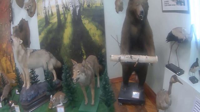 Мичуринск. Краеведческий музей - окончание