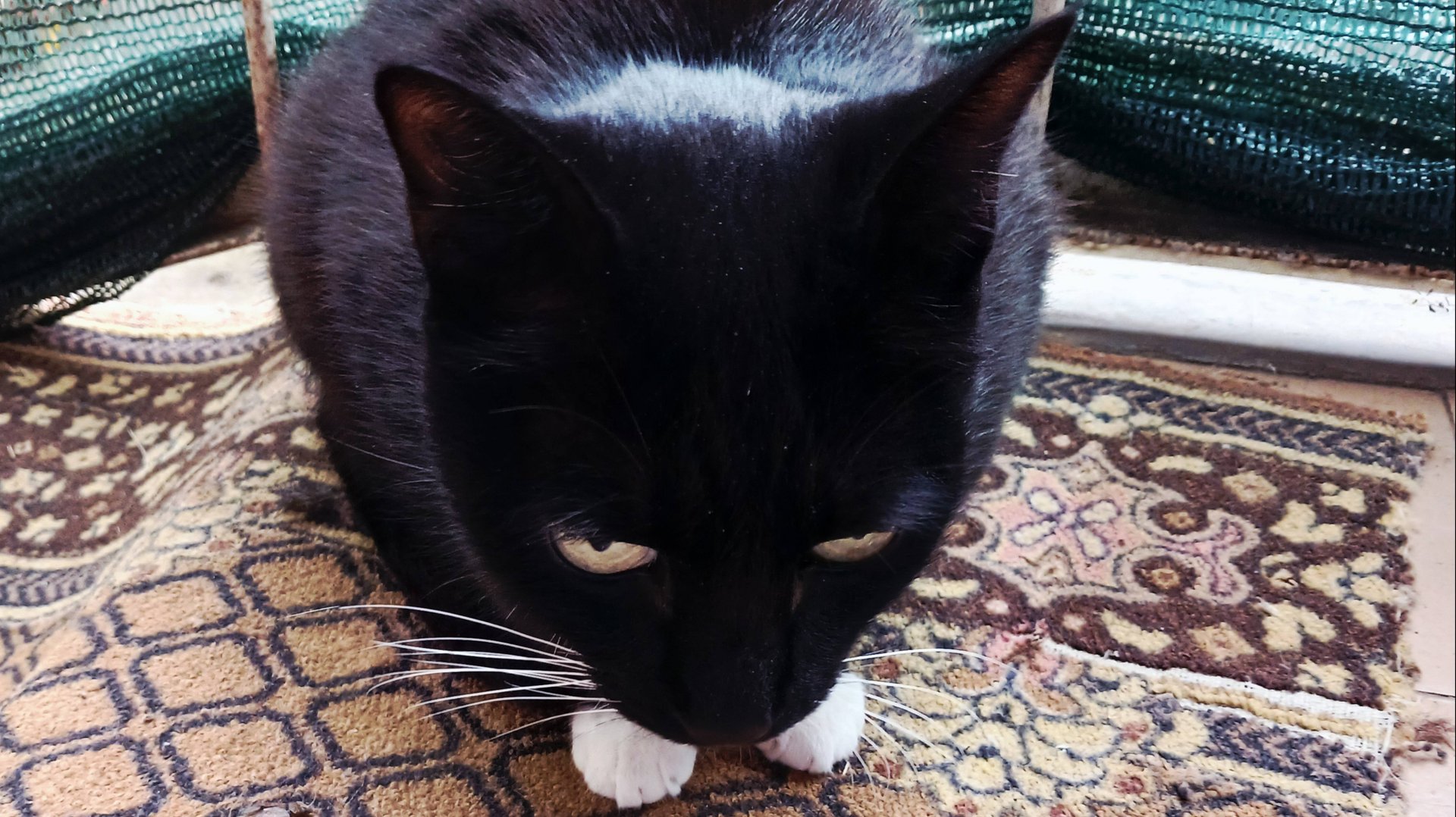 Влог за 3 дня о жизни пенсионеров с внуками//Семья Марыниных влоги про жизнь