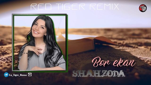 Shahzoda - Bor ekan ( Red Tiger remix ) 2025 / Baxt boladi