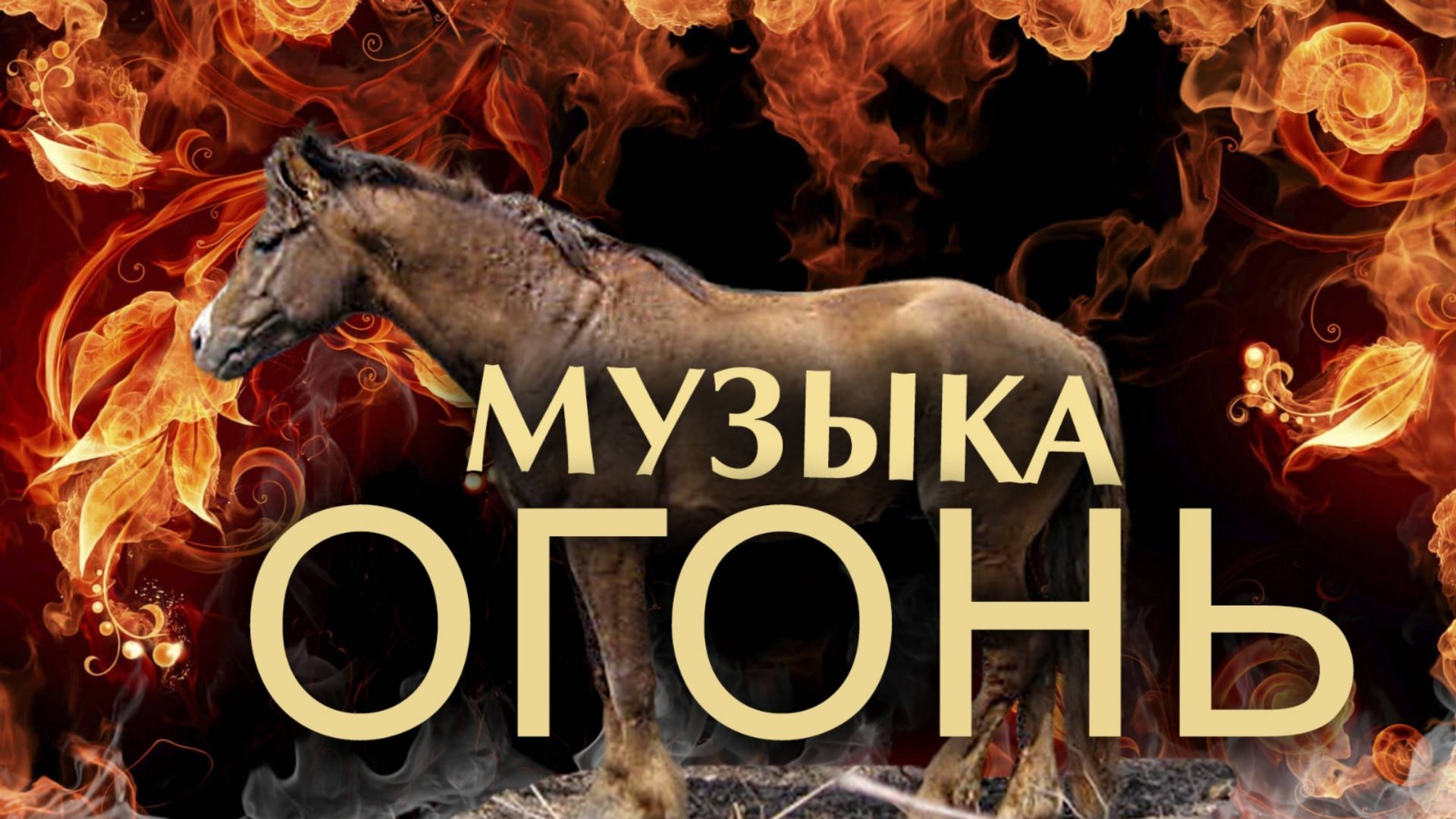 МИКС / Рекорд / Лошадь и музыка