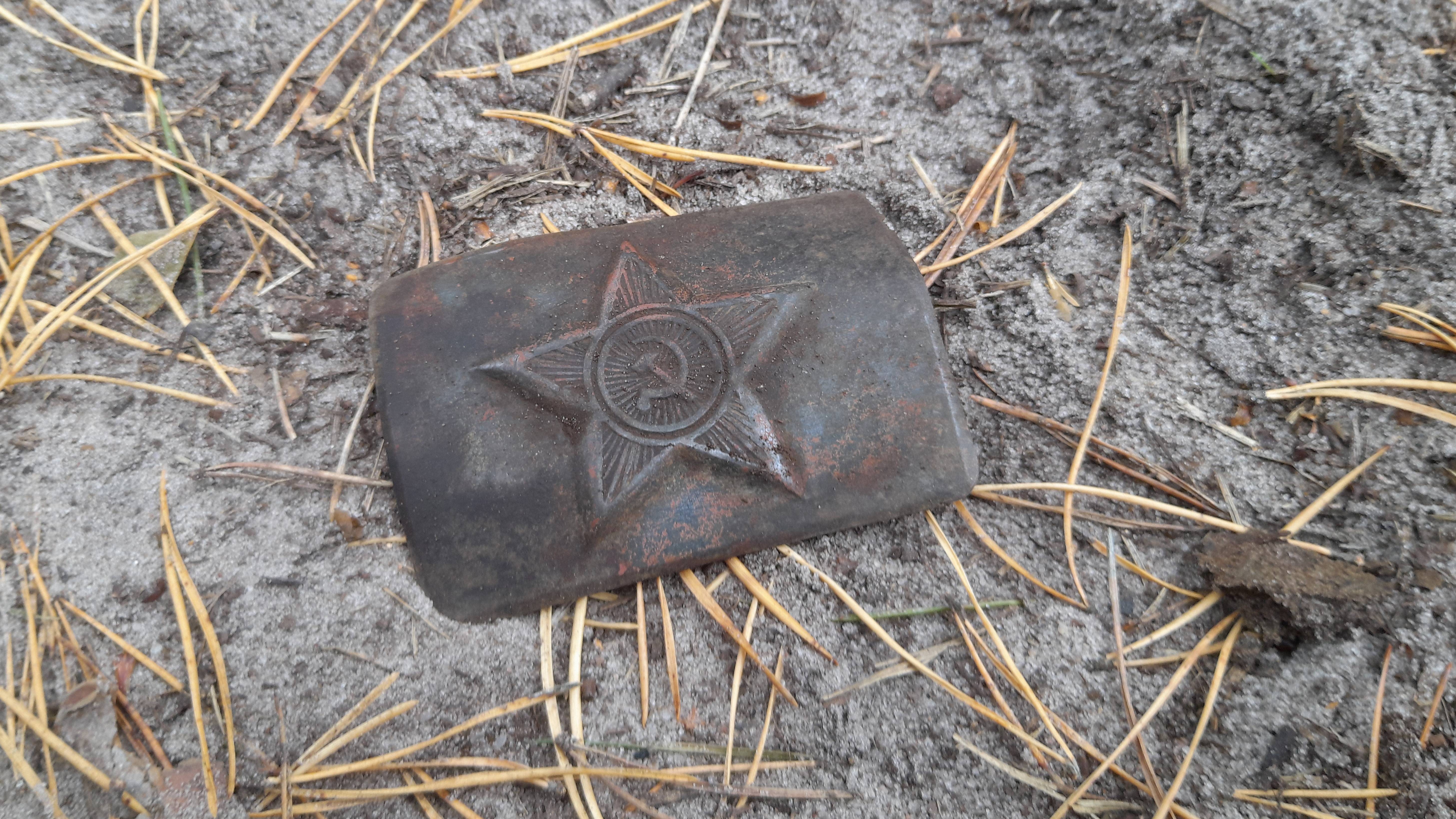 Осенний поиск с МД в лесу. (Марий Эл)