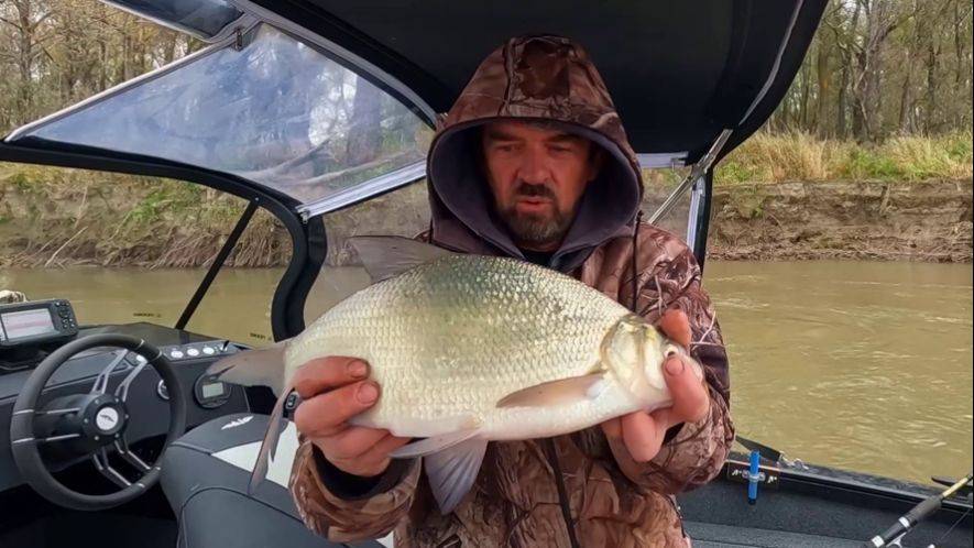 ФИДЕРА НА ПОДЪЕМЕ ВОДЫ ! Рыбалка на Оби 29 сентября 2025г.