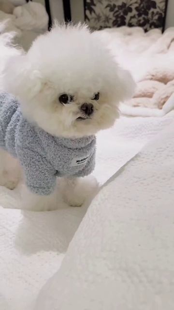 Моя реакция, когда ученик не попадает в ноты