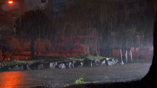 Звуки дождя для глубокого сна и исцеления от бессонницы 🌧️