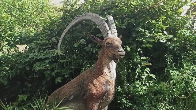 Обзор гостевого дома Светлана в Адлере Богдана Хмельницкого 58А