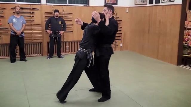 РУКОПАШНЫЙ БОЙ НИНДЗЯ БУДЗИНКАН